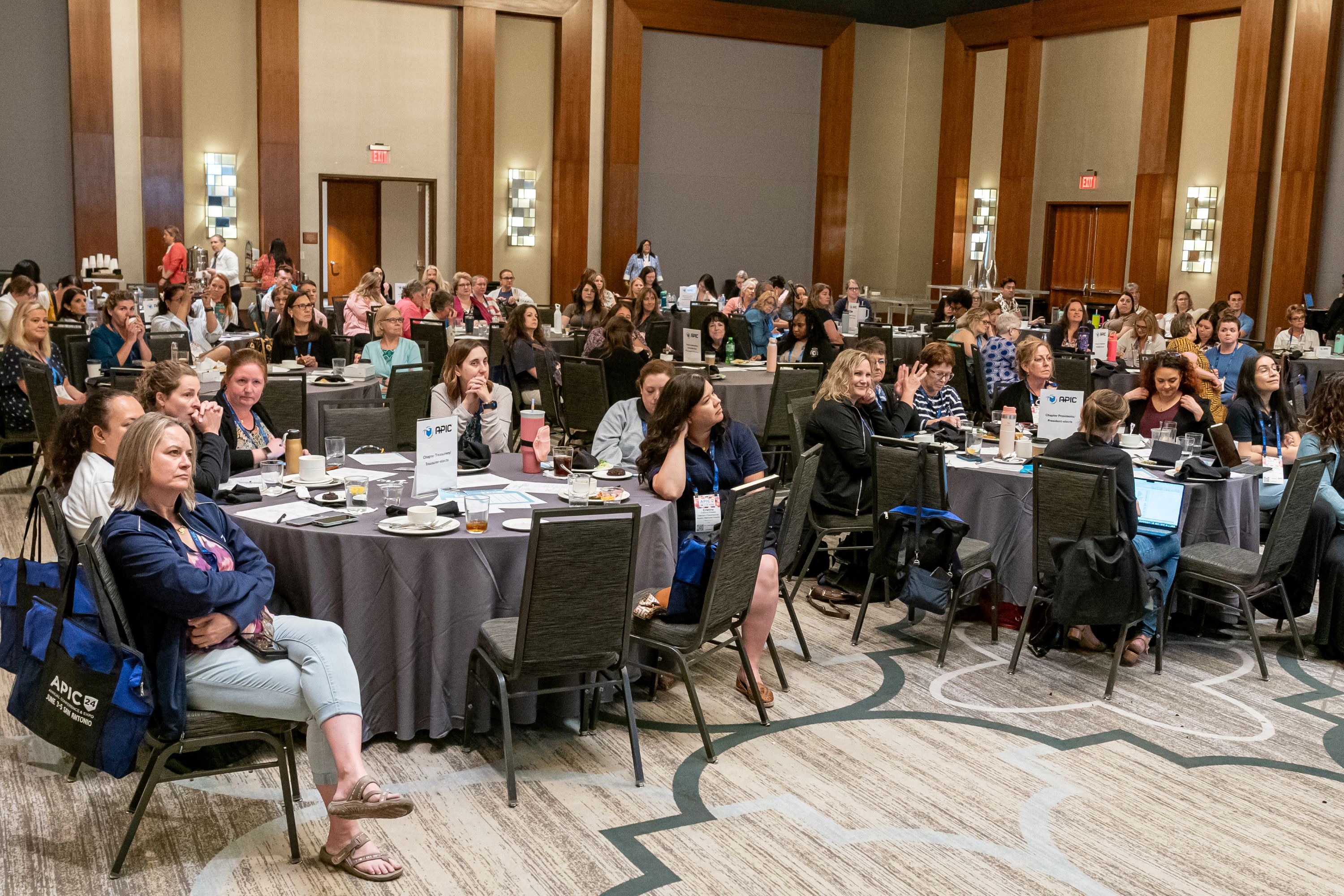 APIC Chapter Activities 2